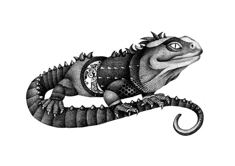 Zackery The Tuatara (2016) Drawing by Tess Sheerin | Saatchi Art