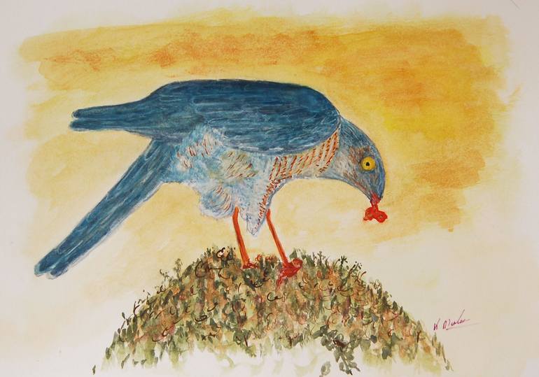 Sparowhawk Painting by kenneth Marsden | Saatchi Art