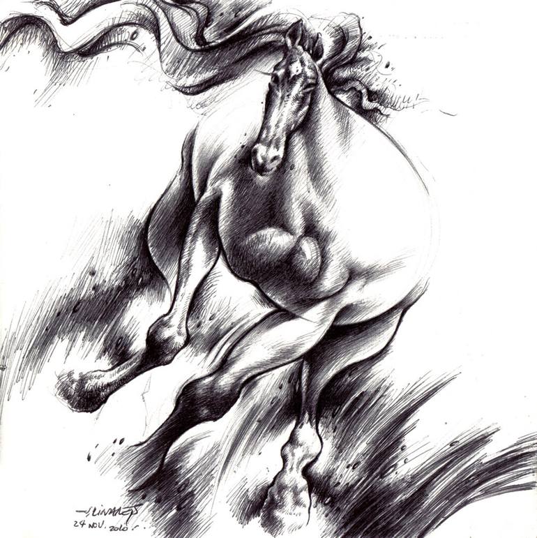 Caballo Drawing by Jairo Linares | Saatchi Art