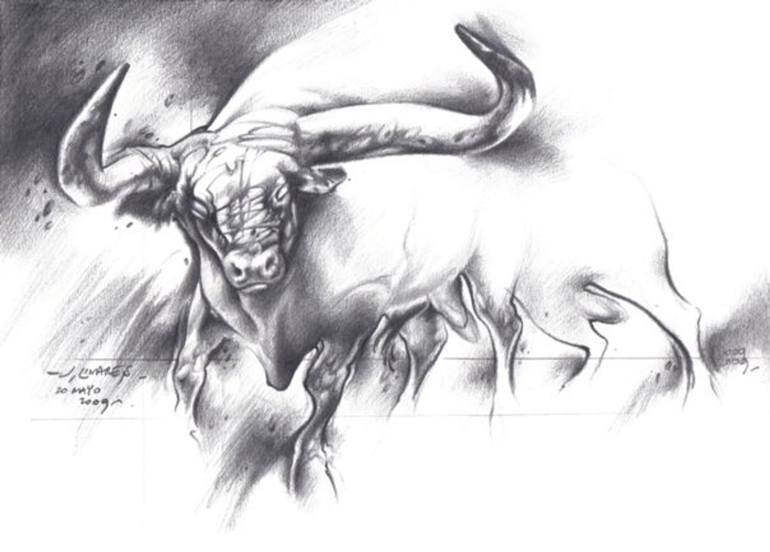 Toro Drawing by Jairo Linares | Saatchi Art