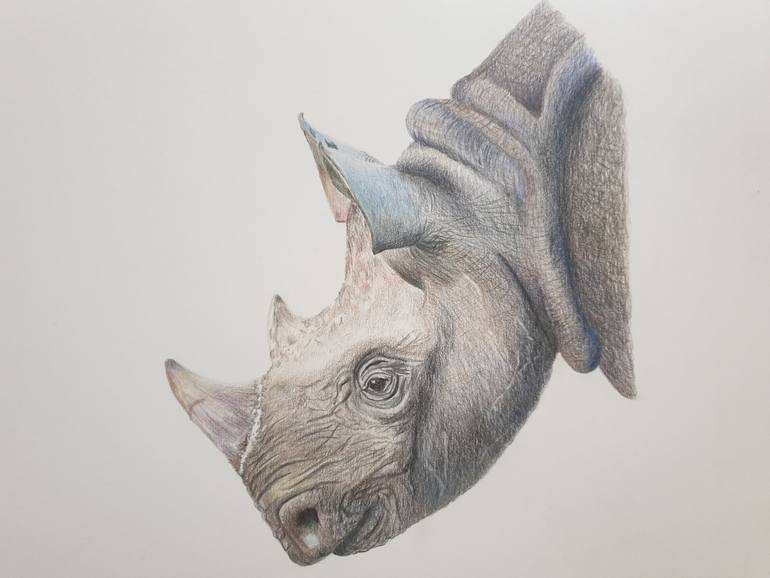 Armoured Beauty Drawing by Wendy hutton | Saatchi Art