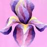 GENTLE IRIS Painting by Maria Tuzhilkina | Saatchi Art