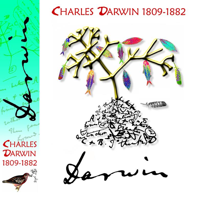 Life Tree #3 Mixed Media by Anthony Knill | Saatchi Art