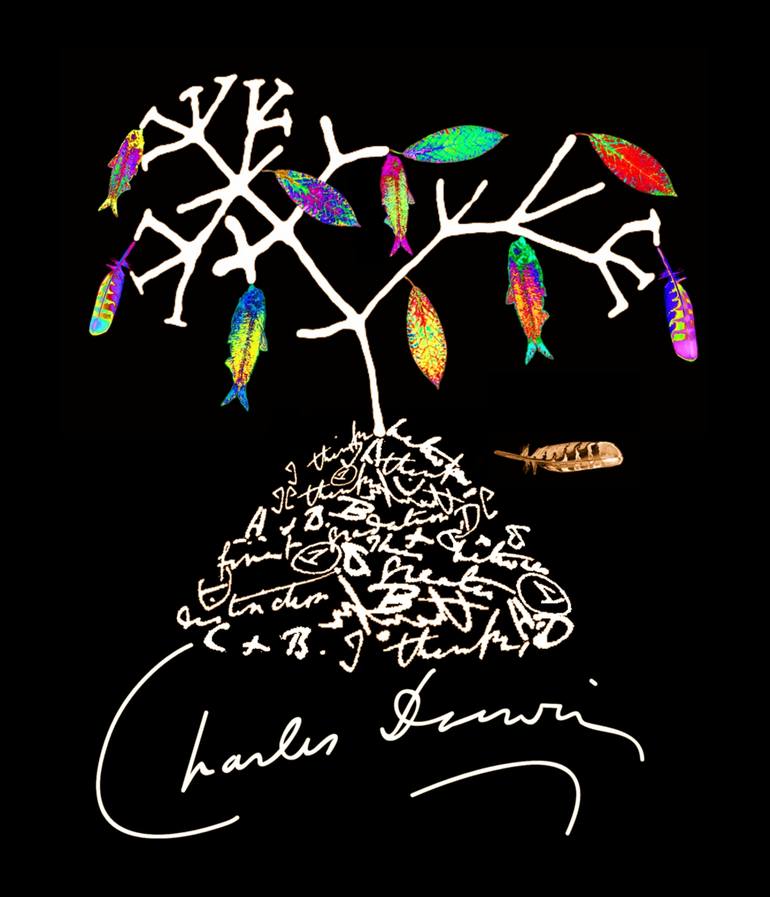 Life Tree #1 Mixed Media by Anthony Knill | Saatchi Art