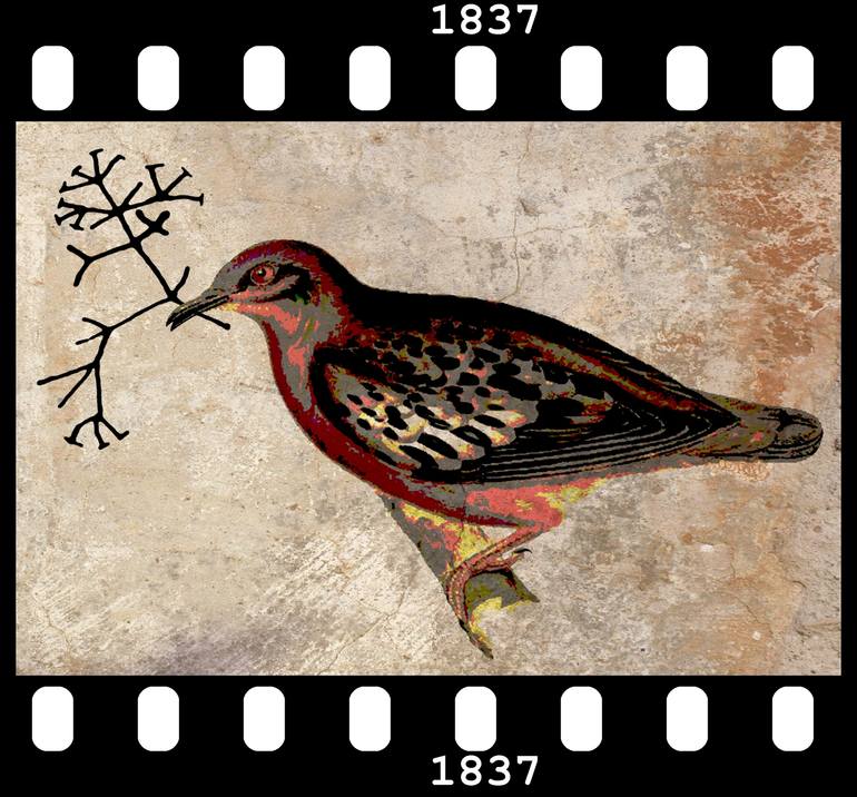 The Dove & the Tree of Life Mixed Media by Anthony Knill | Saatchi Art