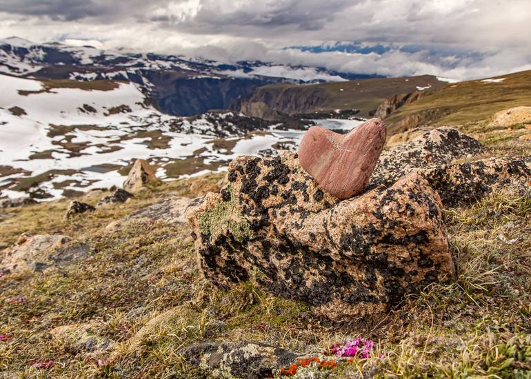 Heart of Stone Photography by Volkmar Von Sehlen | Saatchi Art