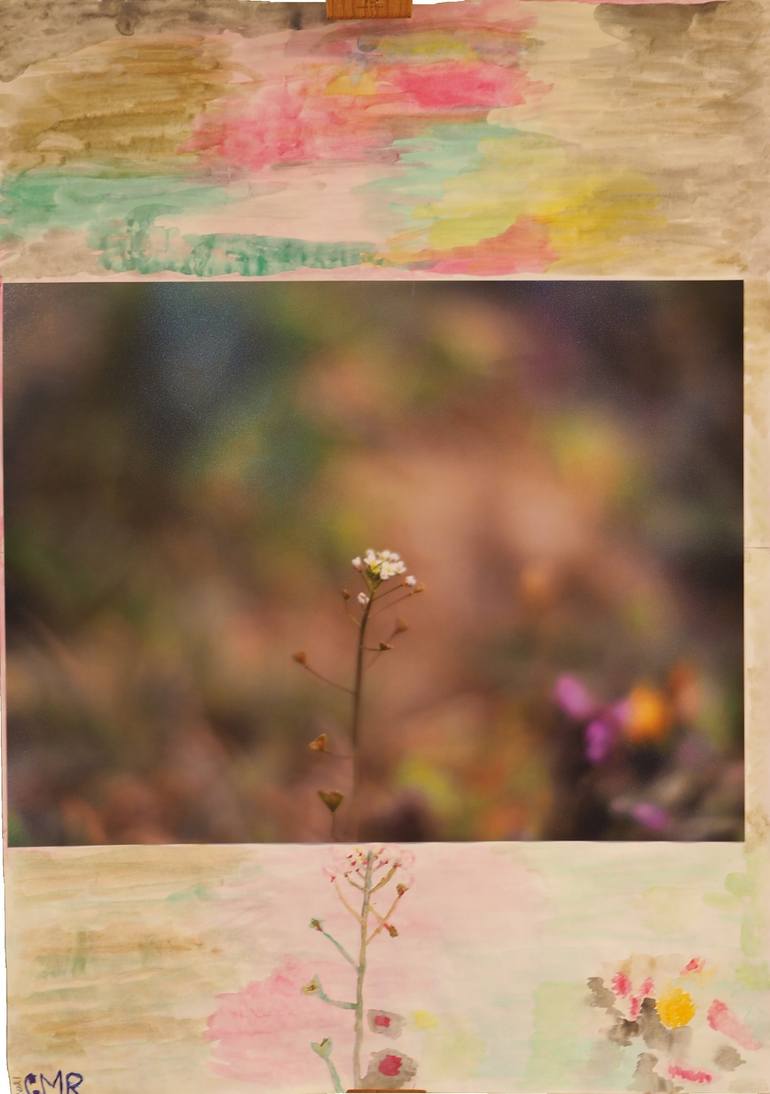 Flower Collage by Codrin Mihai Raileanu | Saatchi Art