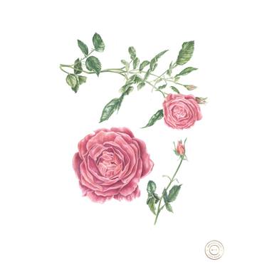 Adrienne Kerr Artworks | Saatchi Art