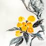Loquat Drawing by Ling Pitts | Saatchi Art