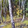 Birch grove Painting by Ruslan Kiprych | Saatchi Art