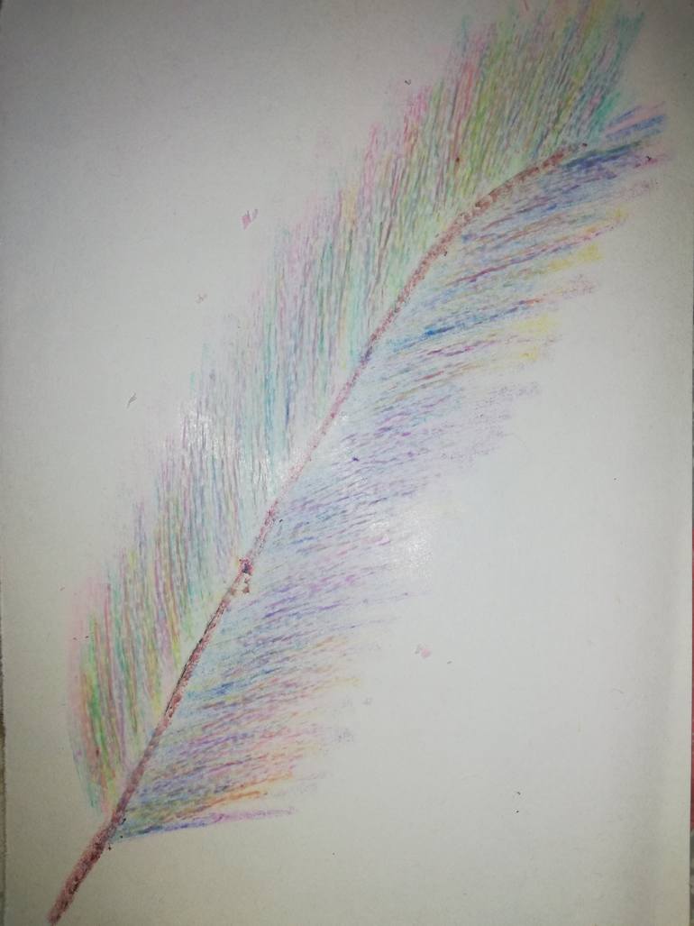 feather Drawing by Elisa Negri | Saatchi Art