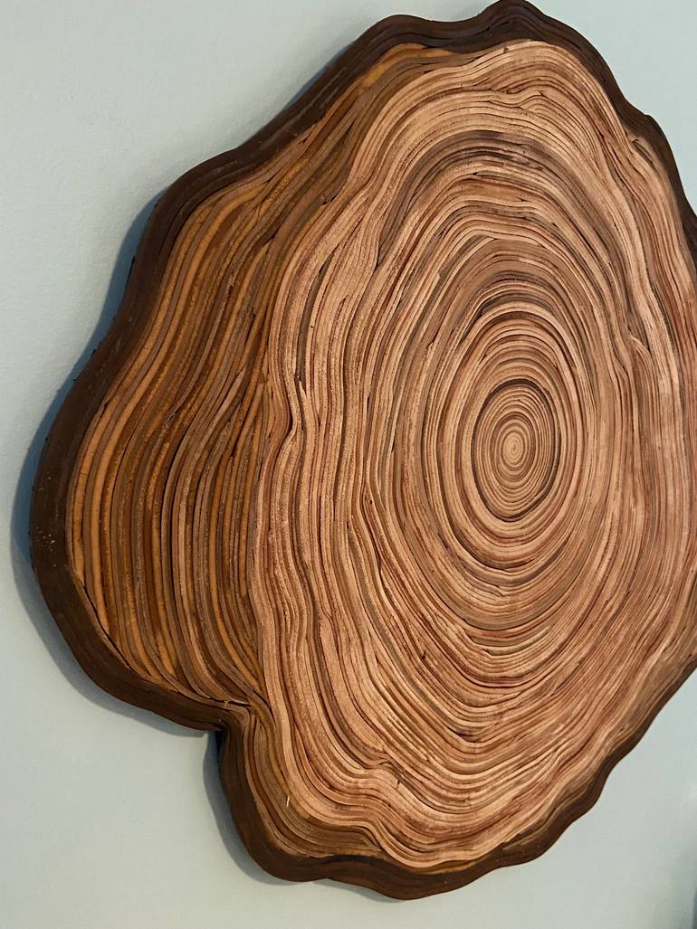 TREE LEATHER WALL ART REDWOOD #201 Sculpture by SG scott gelander ...