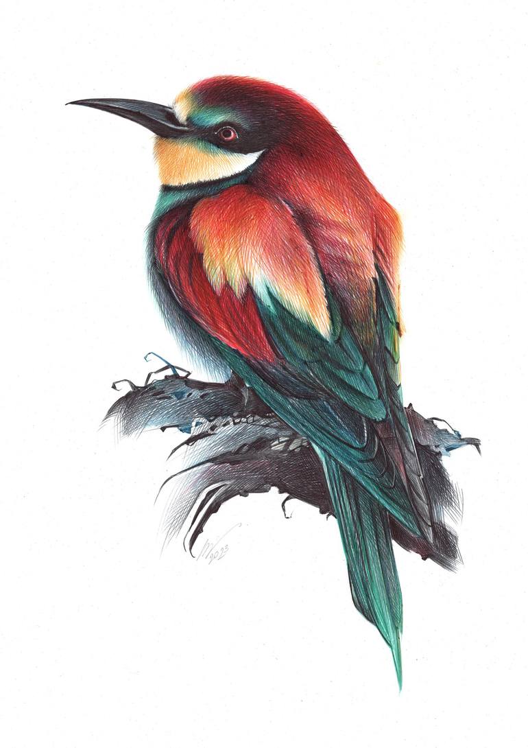 European Bee-eater (Realistic Ballpoint Pen Bird Portrait) Drawing by ...