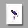 Common Myna Drawing by Daria Maier | Saatchi Art