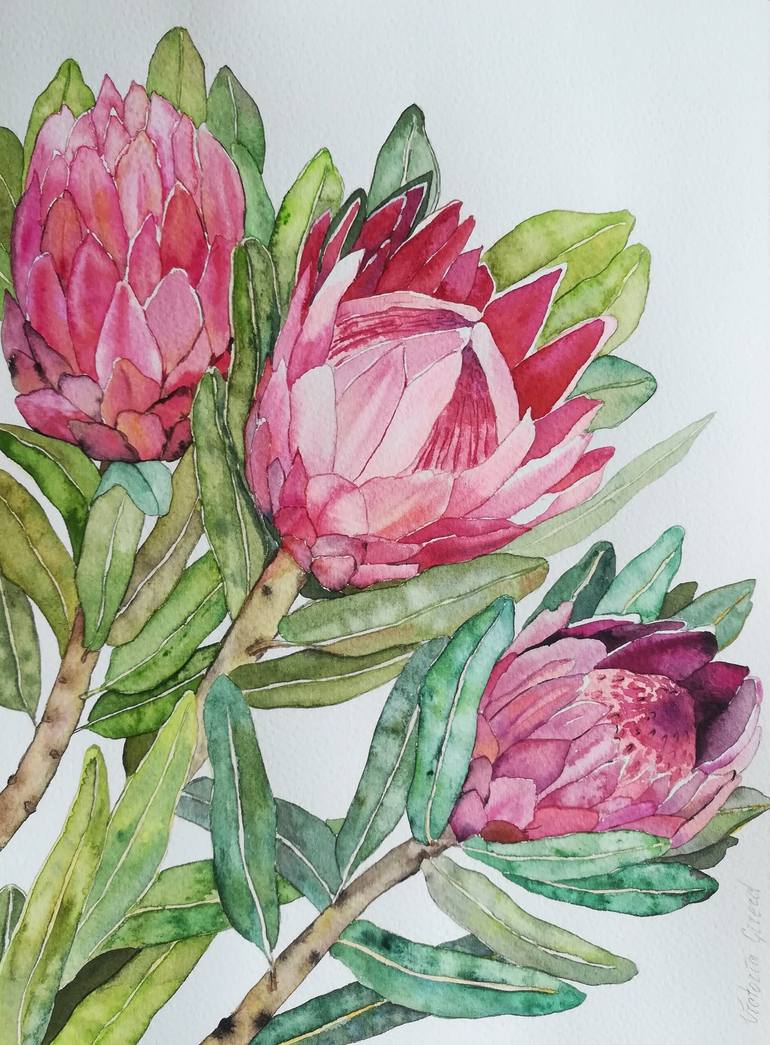 Protea, exotic flower Painting by Victoria Girerd | Saatchi Art