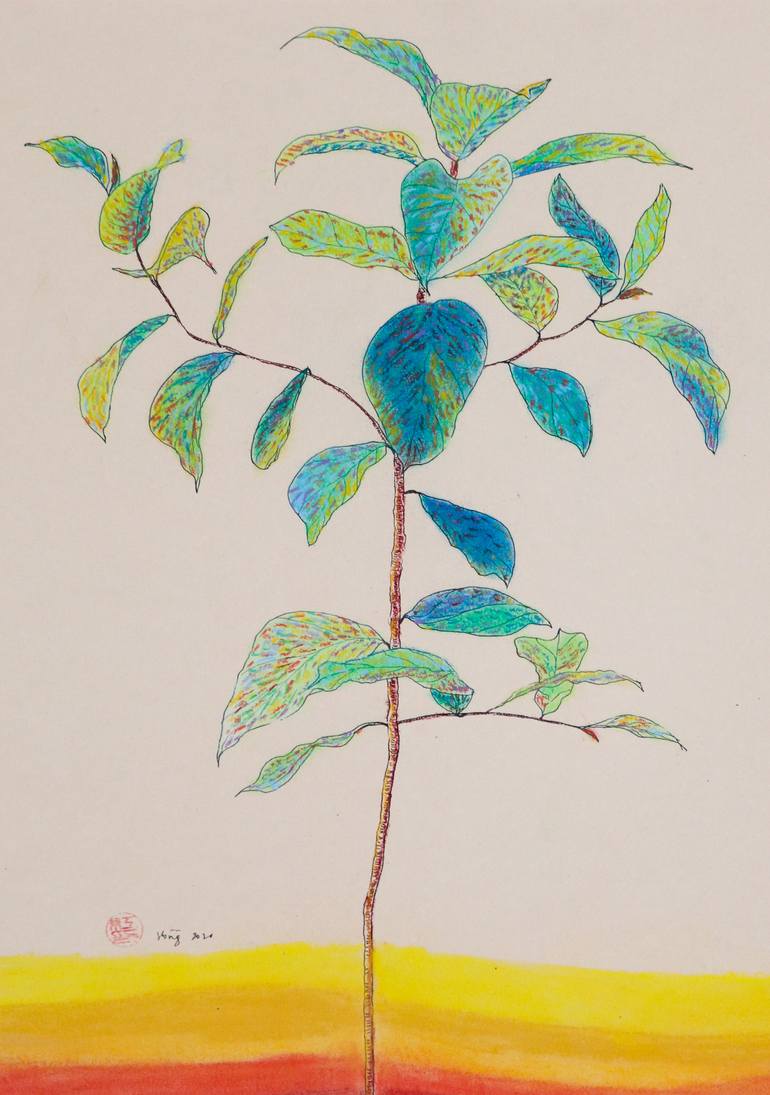 Jackfruit Tree Drawing