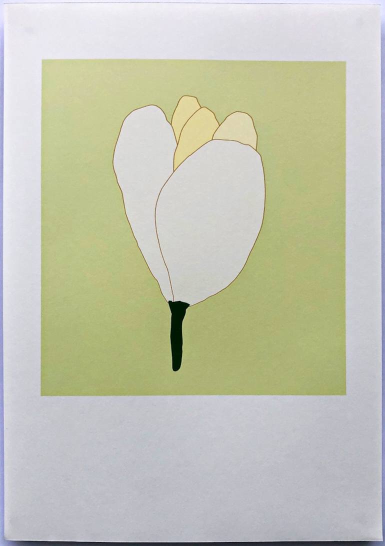White tulip on pistachio green background - Limited Edition of 25 ...
