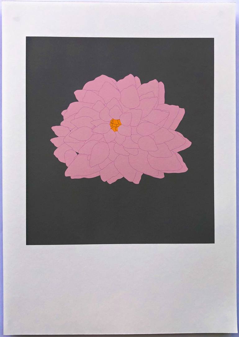 Pink Chrysanthemum on mid grey background - Limited Edition of 25 ...