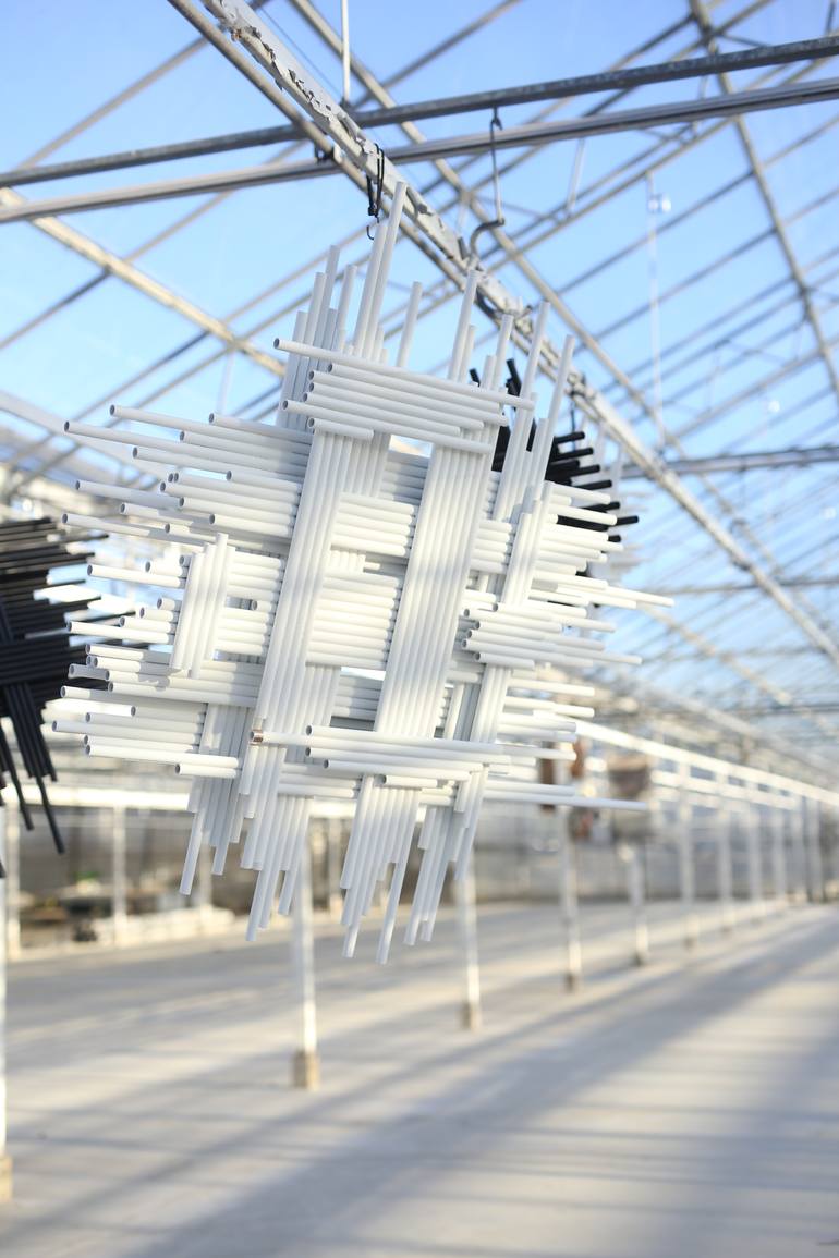 Wall Art - Gogotte edition (large) Sculpture by Ward Strootman ...