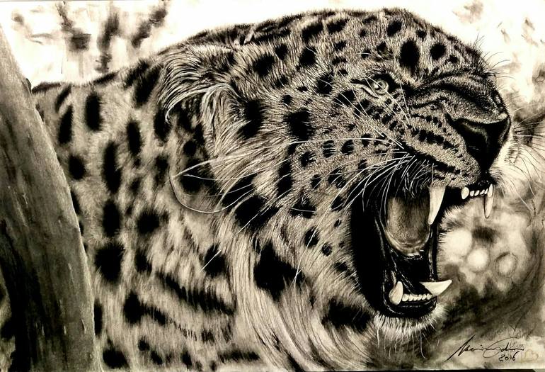 GHEPARD Drawing by MASSIMO CEDRINI | Saatchi Art