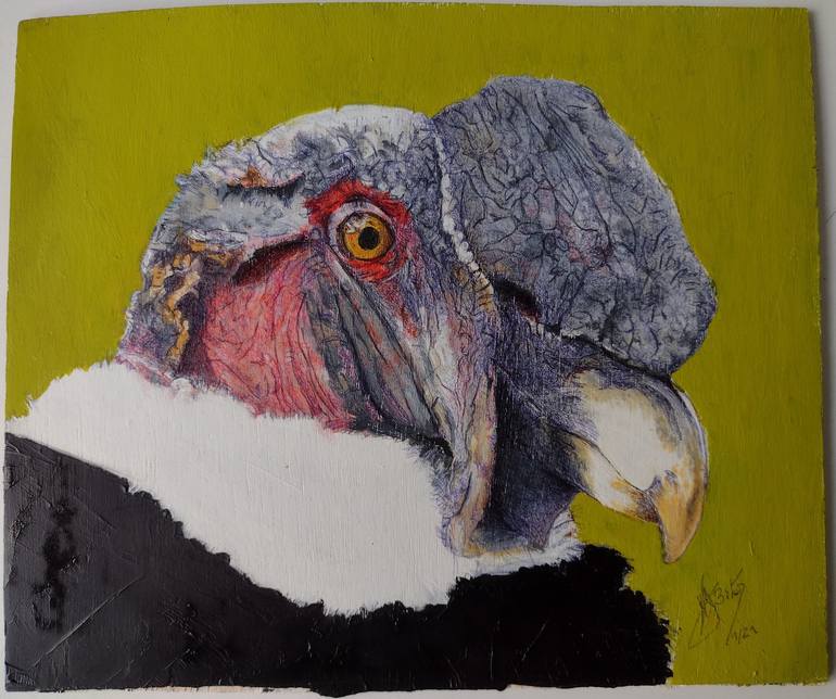 Cóndor Painting by Norberto Bitar | Saatchi Art