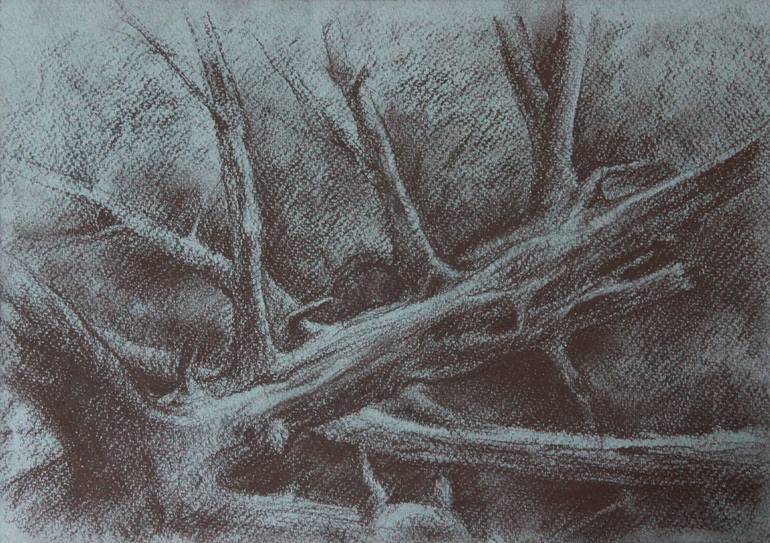 SIBERIAN SNAG Drawing by Alina Shangina | Saatchi Art