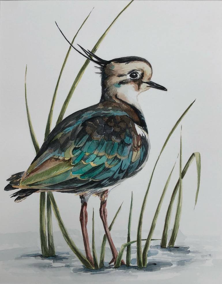 A little lapwing bird Painting by Irina Babintseva | Saatchi Art