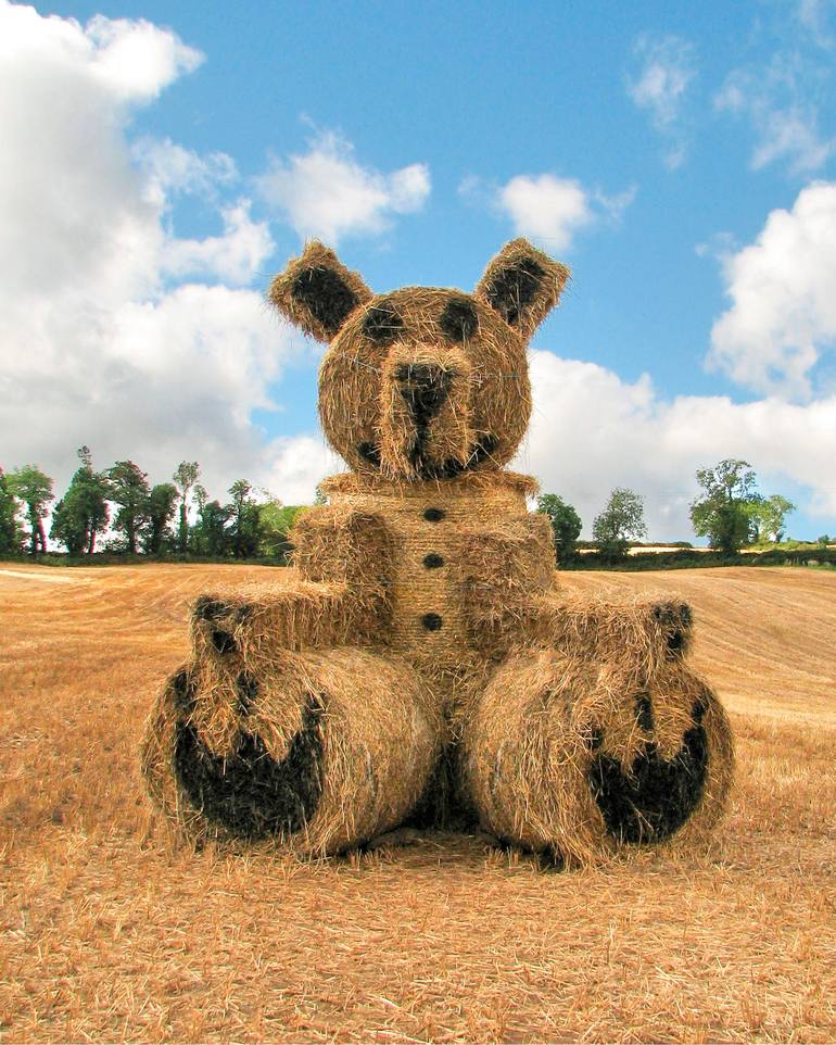 Inch Island Teddy Photography by Declan McGuinness | Saatchi Art