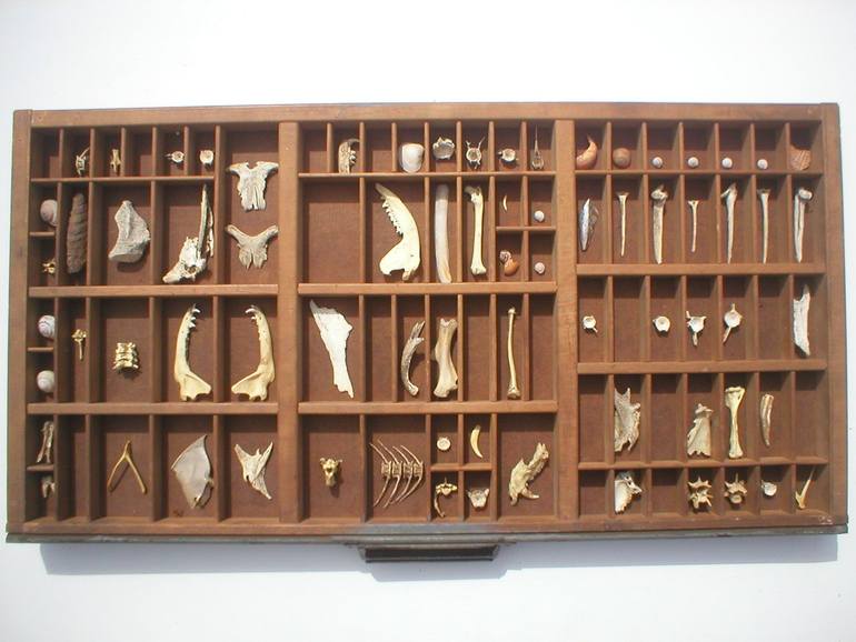 Bone Collection 1 Collage by Richard Christopher Patterson | Saatchi Art