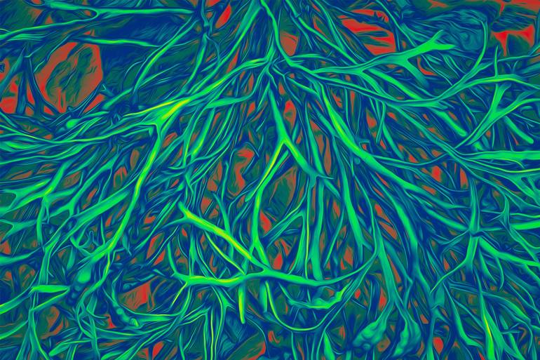 Entanglement 2 Photography by Bernard Werner | Saatchi Art