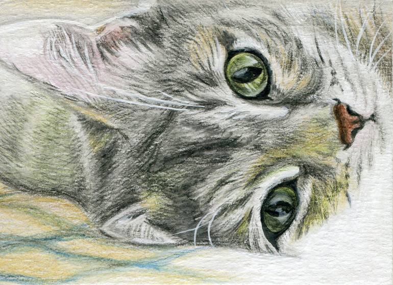 Gray cat Drawing by Mila Romanova | Saatchi Art