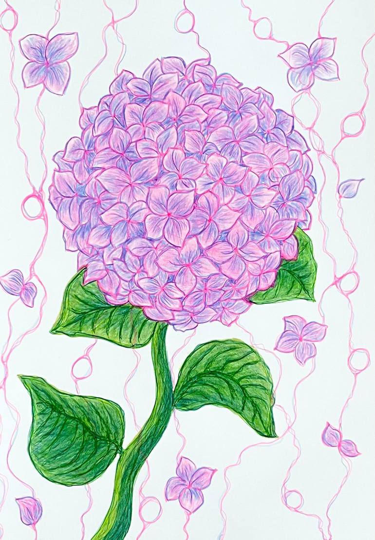 Pink hydrangea Drawing by Natalia Ordobaeva | Saatchi Art