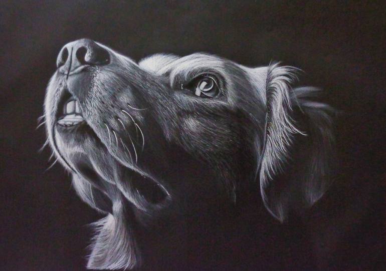 Dog, One's best companion Drawing by Aradhana Goyal | Saatchi Art
