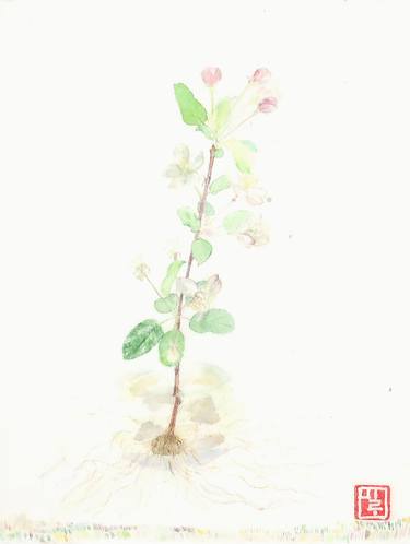 Meeno YOON Artworks | Saatchi Art