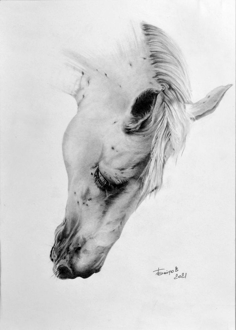 Danae Drawing by Alexander Boytsov | Saatchi Art