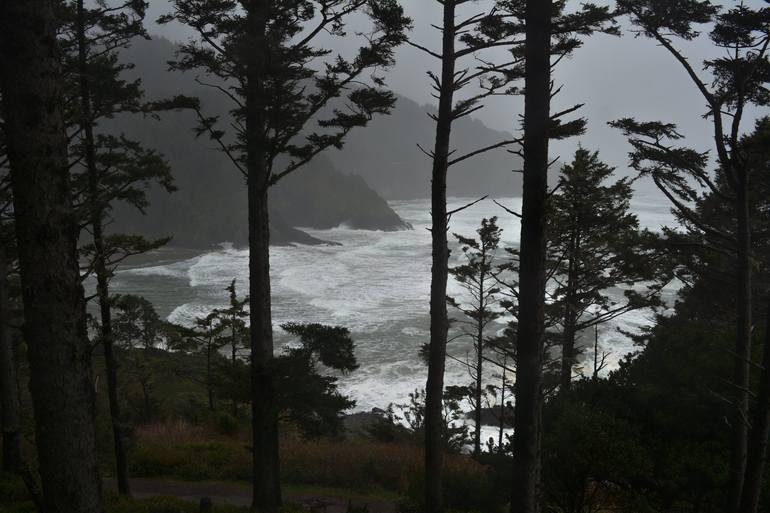 Winter on the Oregon Coast Photography by Alena Shepeleva | Saatchi Art