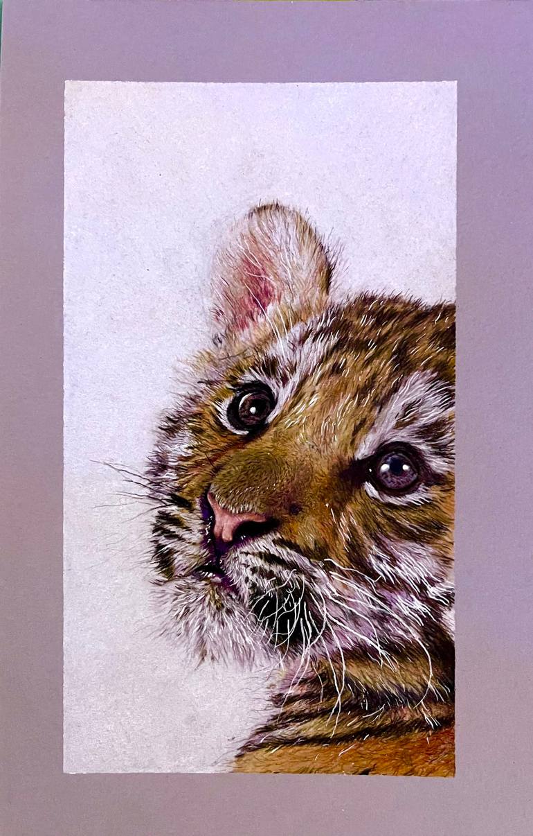 Little tiger Drawing by Angela Munteanu | Saatchi Art