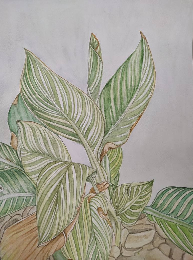 'Canna leaves' Painting by Hamna Aziz | Saatchi Art