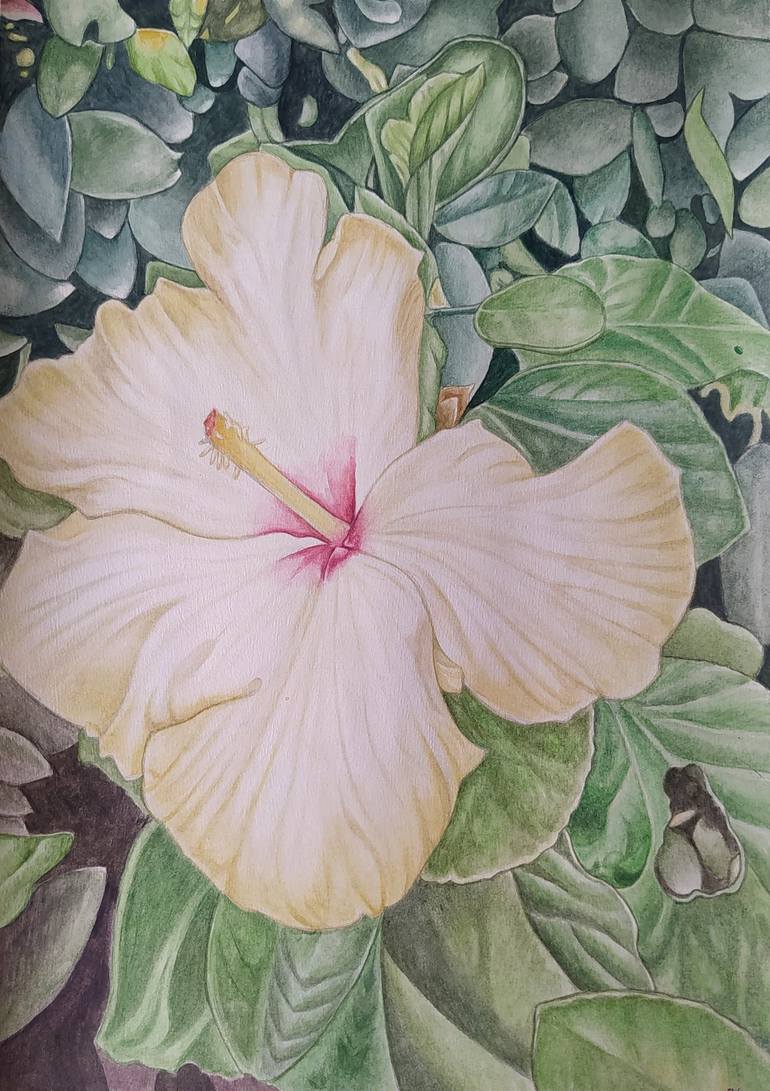 'Rose Mallow' Painting by Hamna Aziz | Saatchi Art
