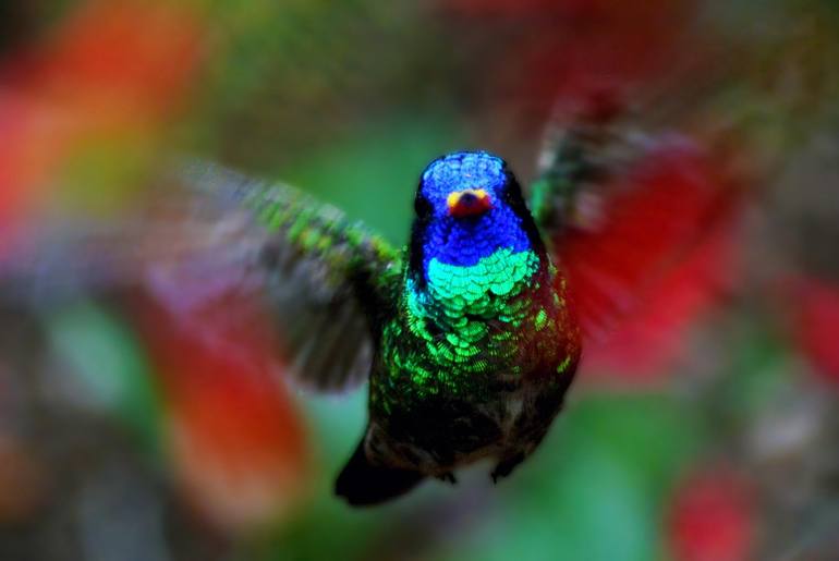 Head On Photography by Eric Eberman | Saatchi Art