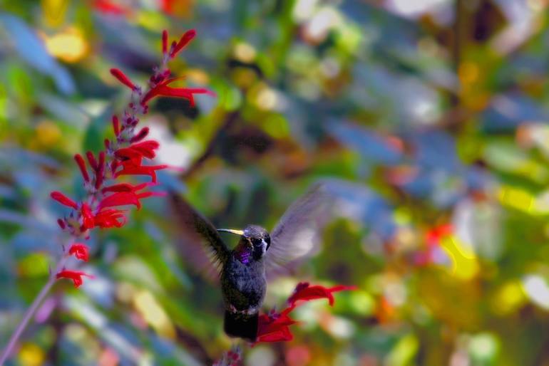 A Gem in the Mountain Photography by Eric Eberman | Saatchi Art