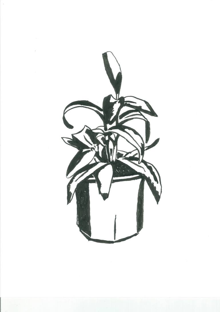 Maceta Drawing by jose seijas | Saatchi Art