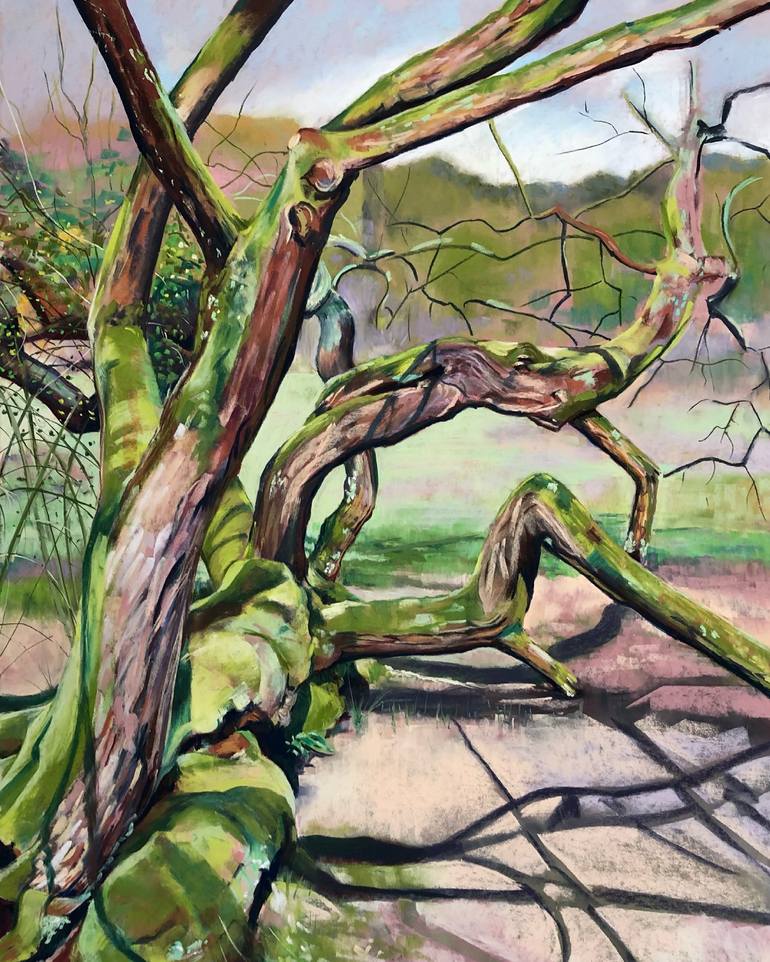 Gnarly Tree, Cobbler's Corner Painting by Penny Lamprell | Saatchi Art