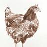 Hen nr2 Drawing by Ana Mosalska | Saatchi Art