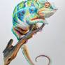 Chamaeleon Drawing by Andrea Isch | Saatchi Art