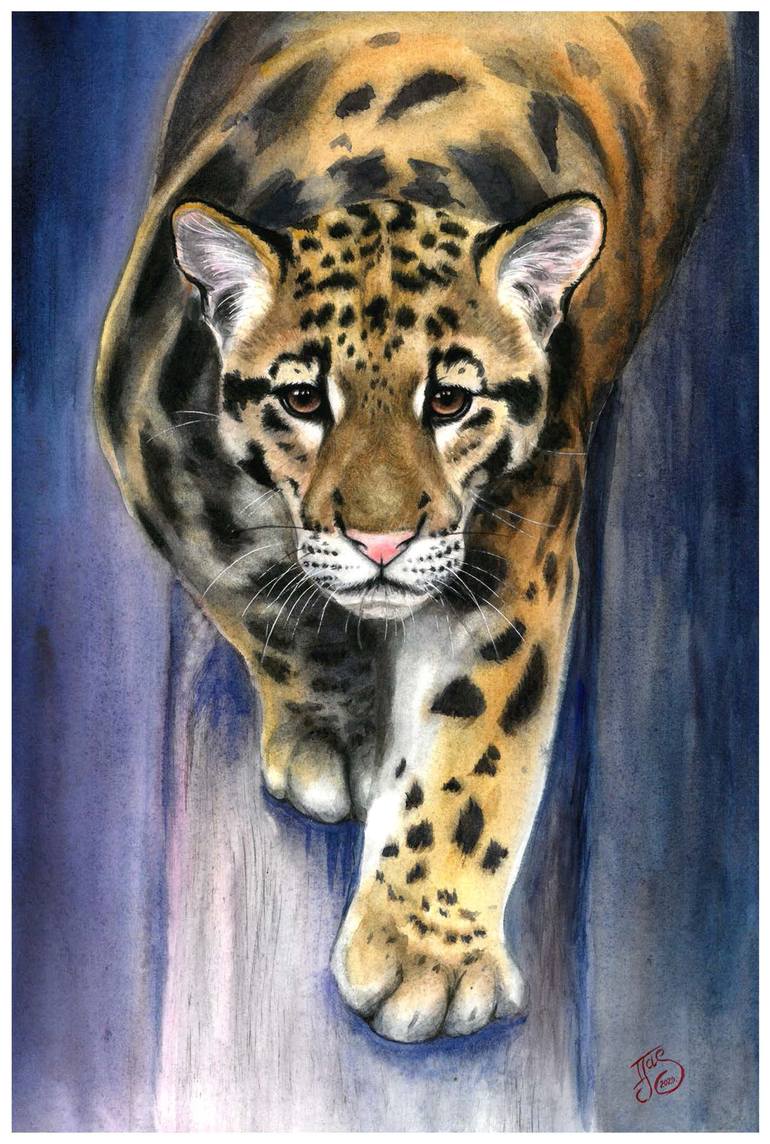 Clouded Leopard Face Drawing