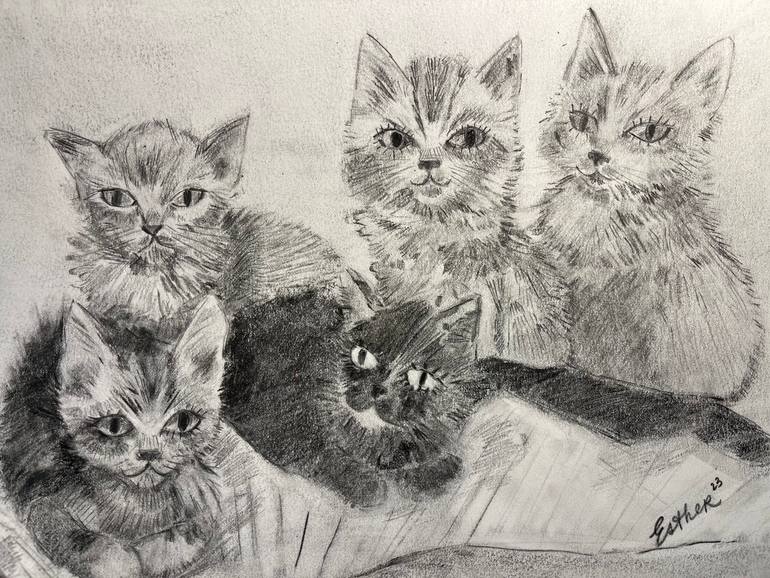 SPCA Kittens Drawing by Esther Suzanne Scott - Mackay | Saatchi Art