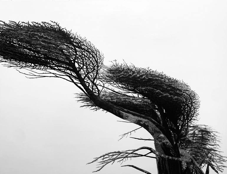 Windblown 2 Painting by Felice Mazzoni | Saatchi Art