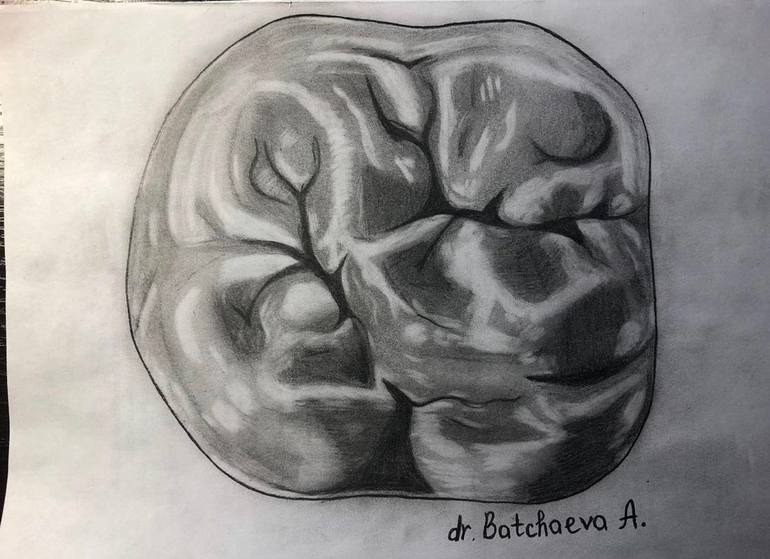 Molar Drawing by Alina Batchaeva | Saatchi Art India
