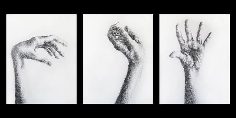 Sketchy Hands Triptych Drawing by Meg Scott | Saatchi Art